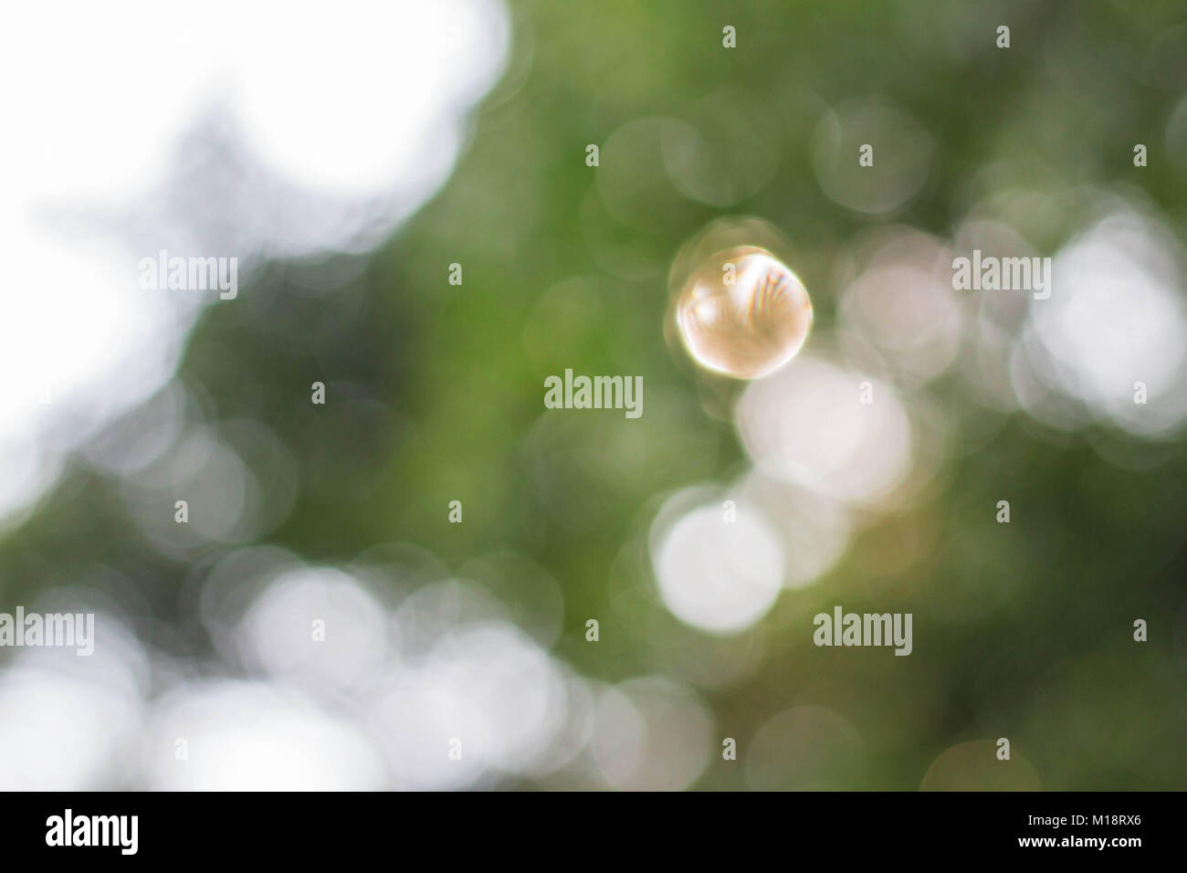 The beauty of bokeh from natural daylight Stock Photo - Alamy