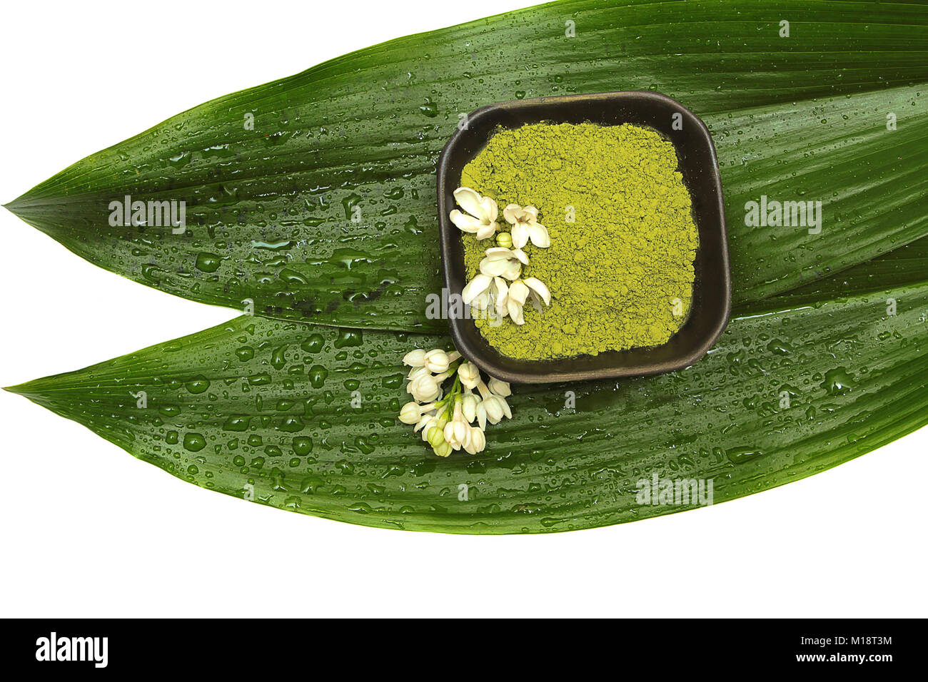 Spa mud, flower and green leaf on white background Stock Photo - Alamy