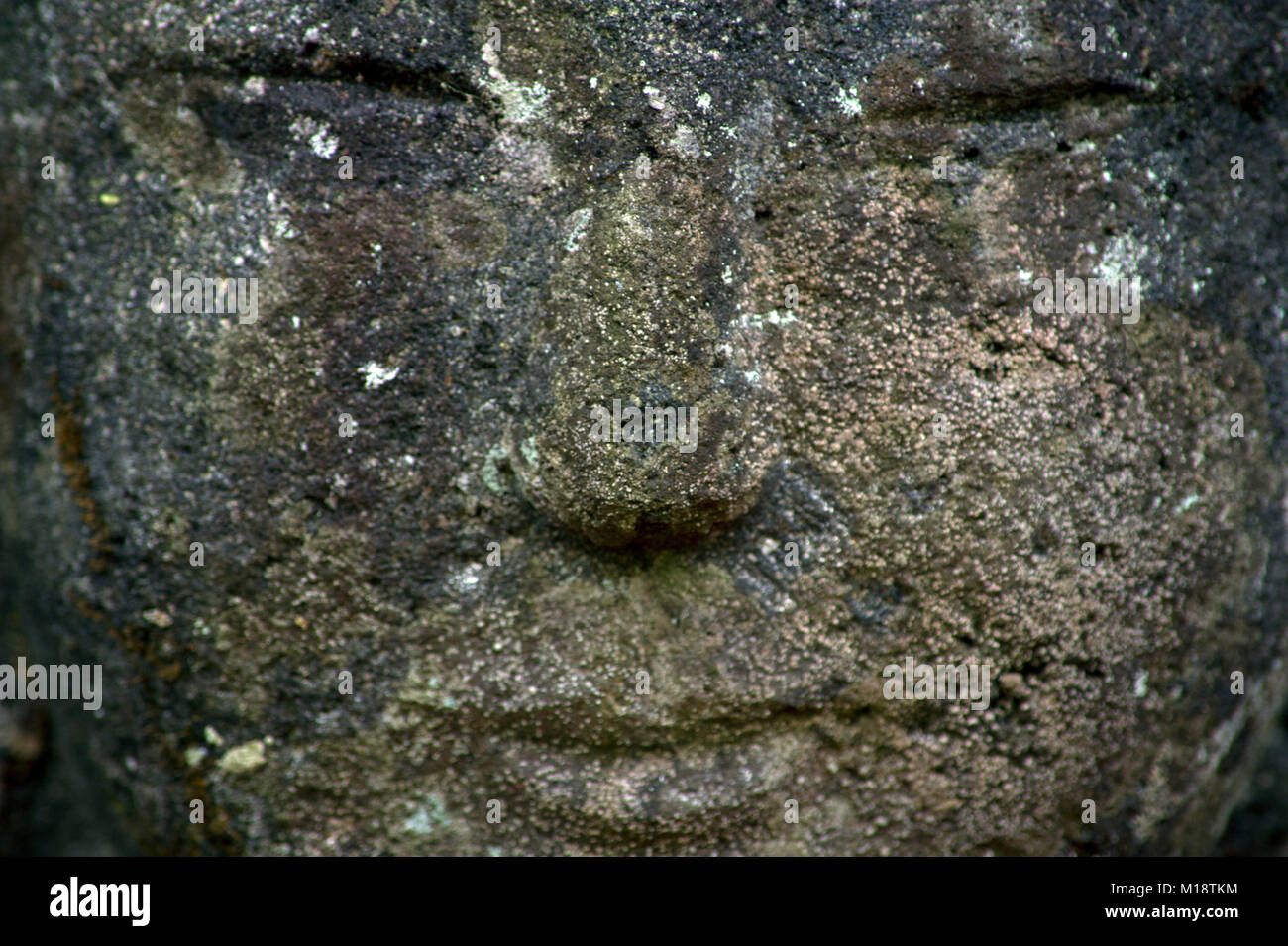 "Face" of Jizo statue in Kanmangafuchi Abyss in Nikko, Japan Stock ...
