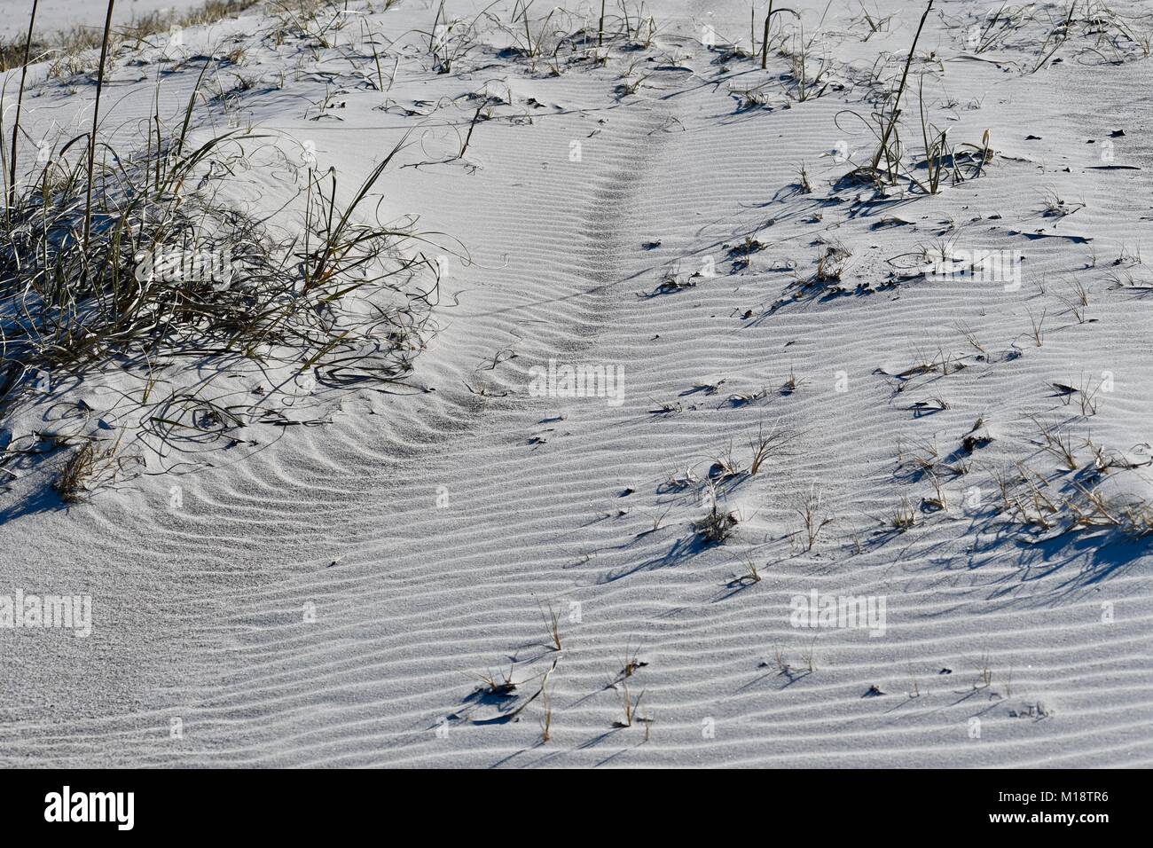 Wind ripples hi-res stock photography and images - Alamy