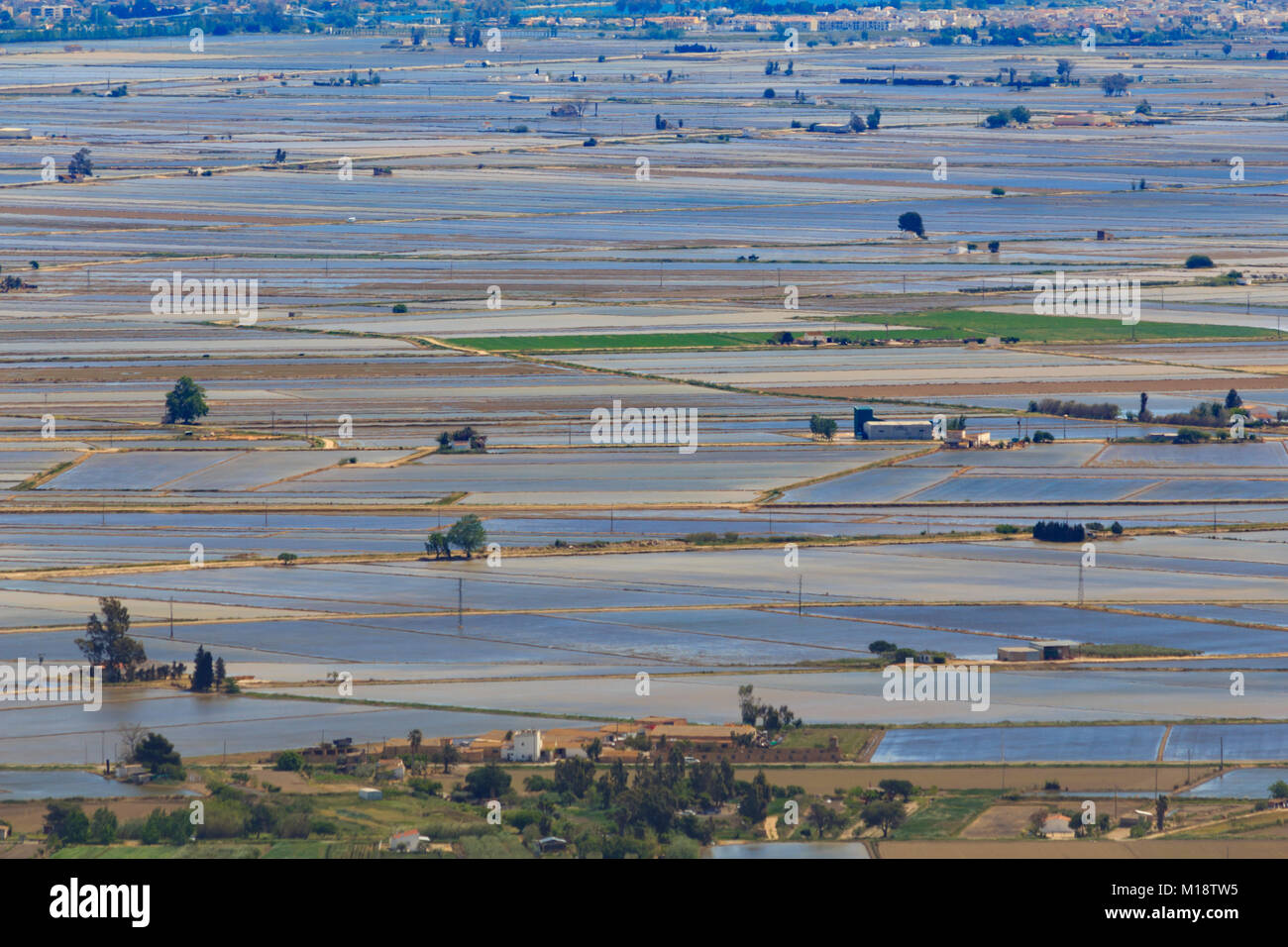 Flooded rice fields in Ebro delta, Catalonia in Spain Stock Photo - Alamy