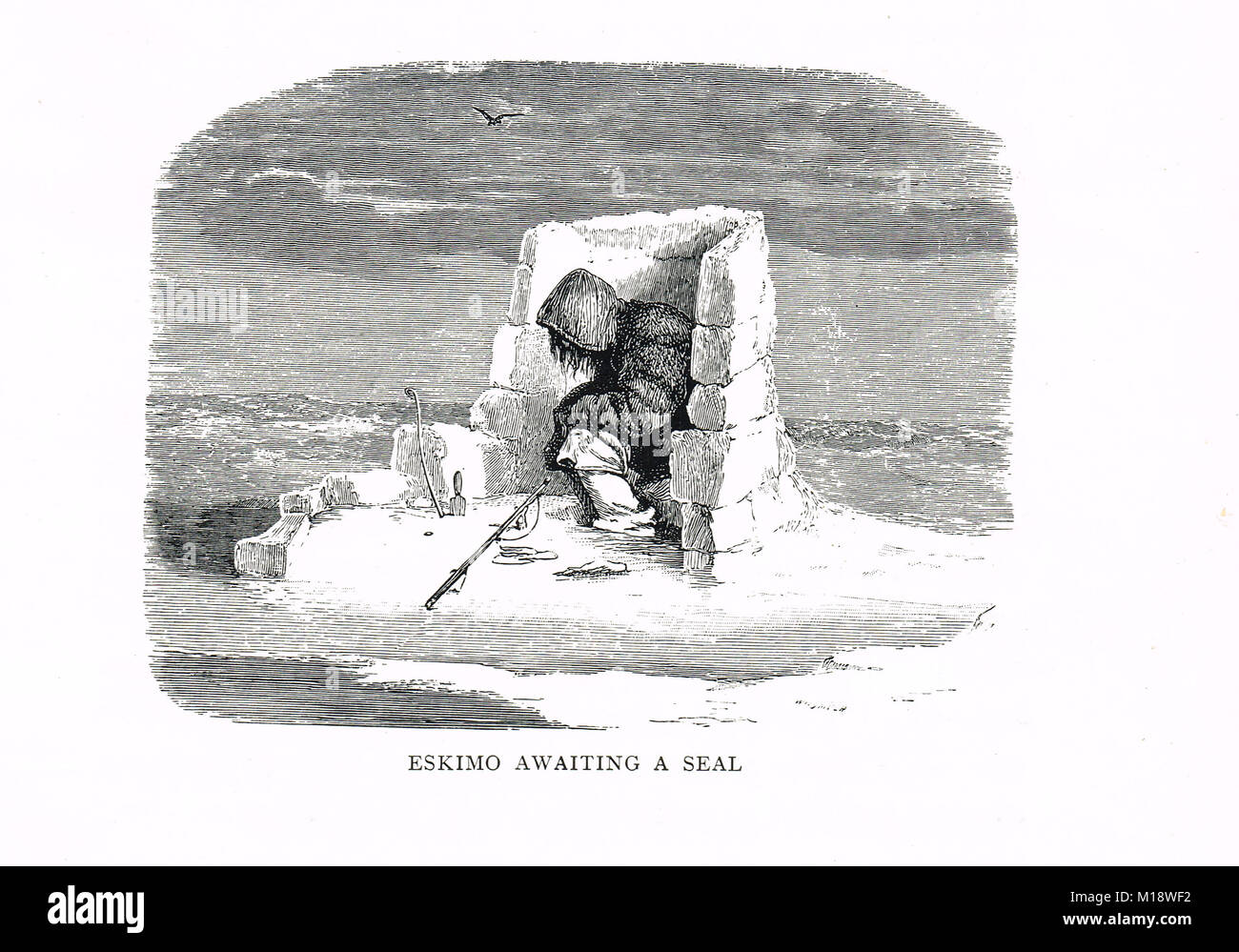 Eskimo seal hunting hi-res stock photography and images - Alamy