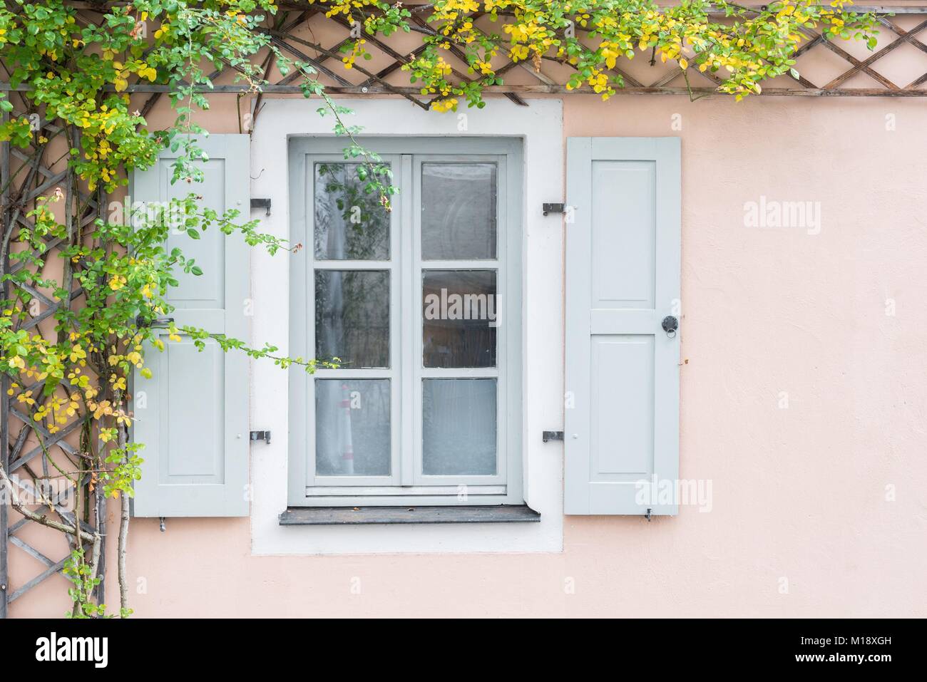 Vintage window with shutter rose flower Stock Photo - Alamy
