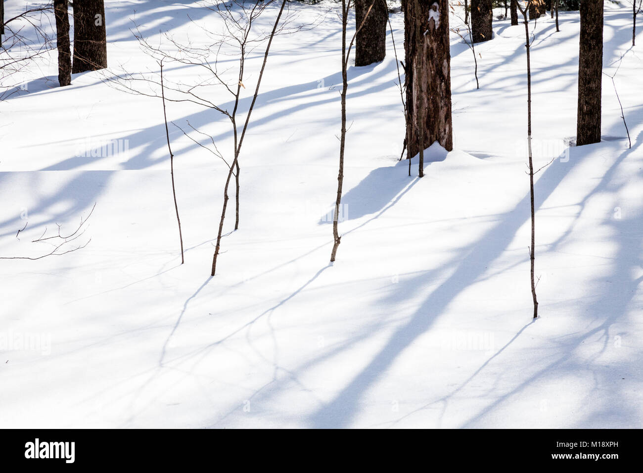 Hibernal solstice hi-res stock photography and images - Alamy