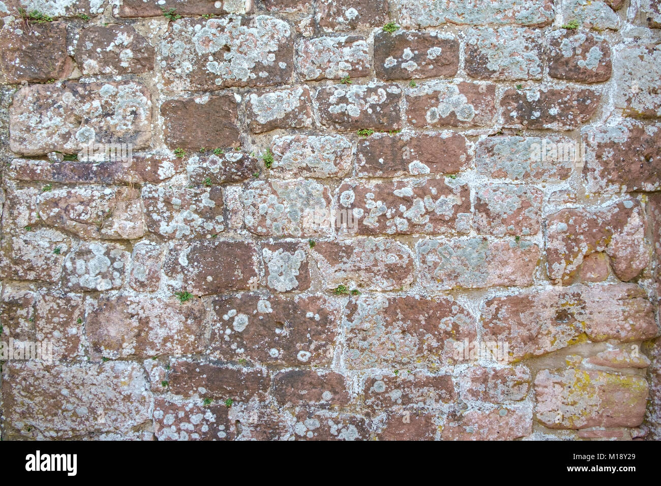 Tan rock wall texture hi-res stock photography and images - Alamy