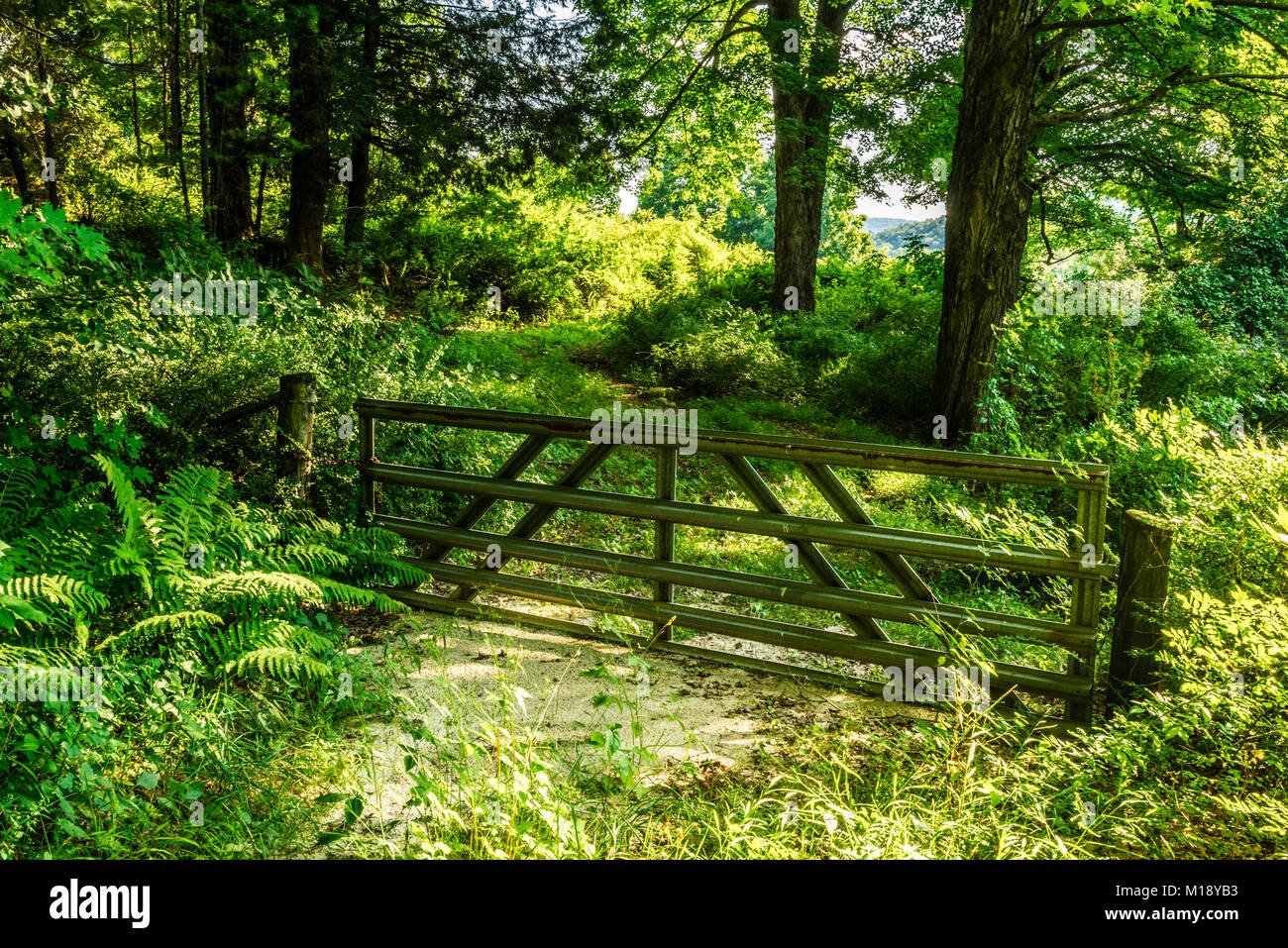 Goshen farm hi-res stock photography and images - Alamy