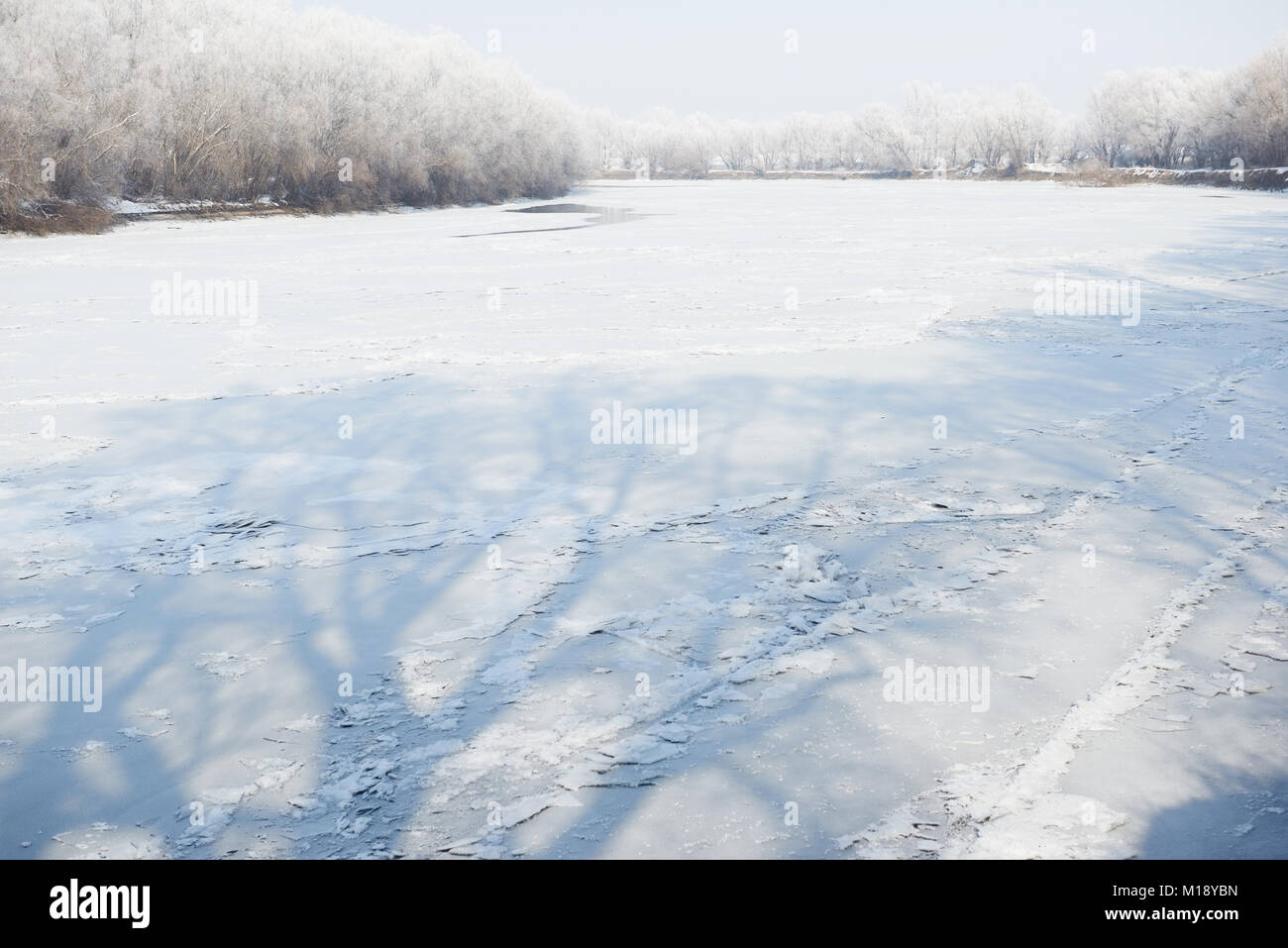 frozen river in winter forest, beautiful wild landscape with ...