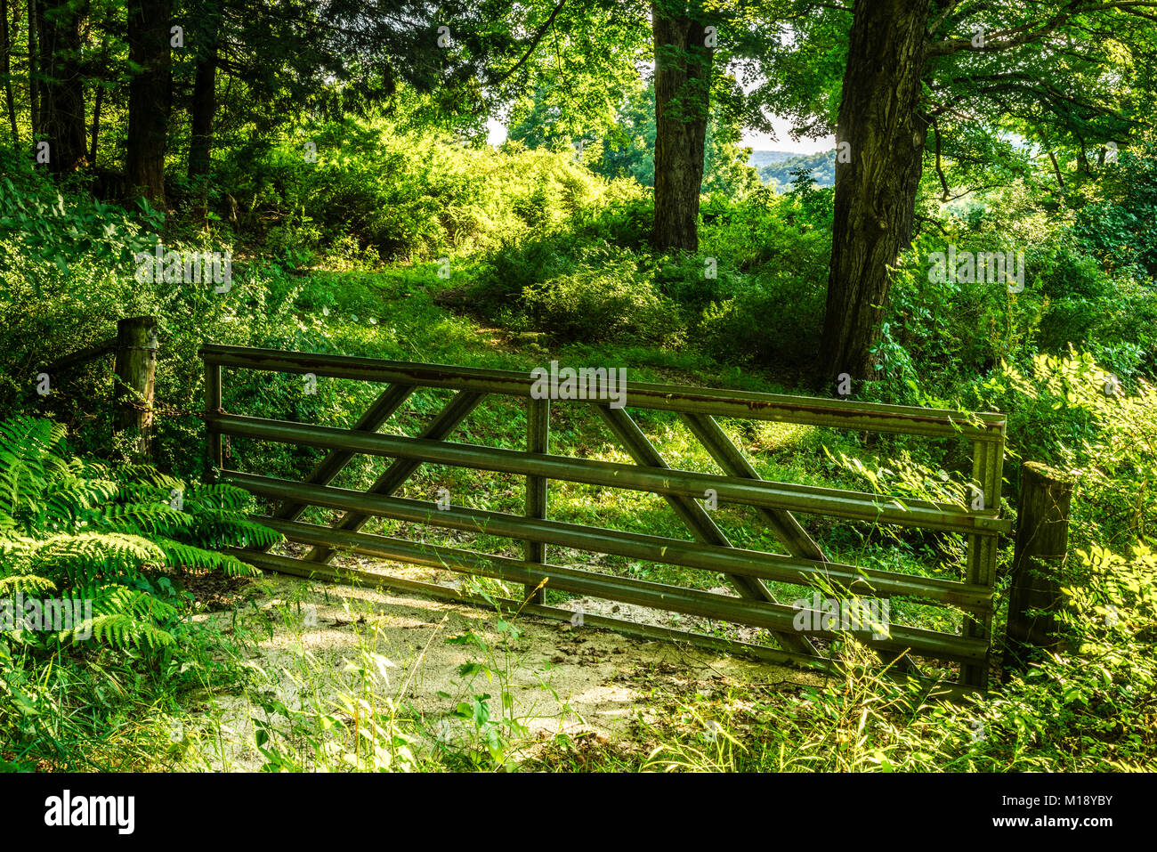 Goshen Farm Goshen, Connecticut, USA Stock Photo - Alamy