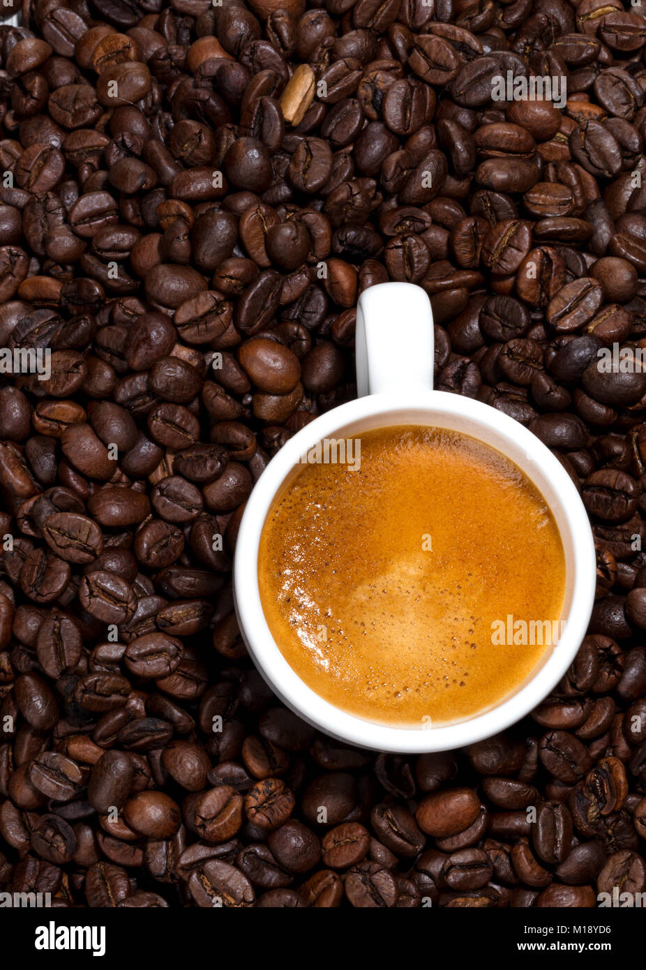 white cup of coffee, just done, on roasted coffee beans from top, just ...