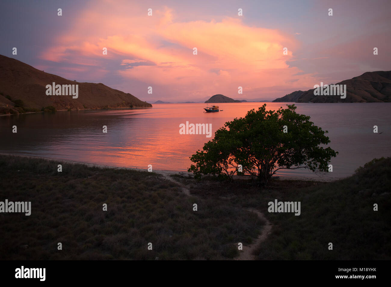 Winding path to a calm cove with a beautiful pink and purple sunset sky ...