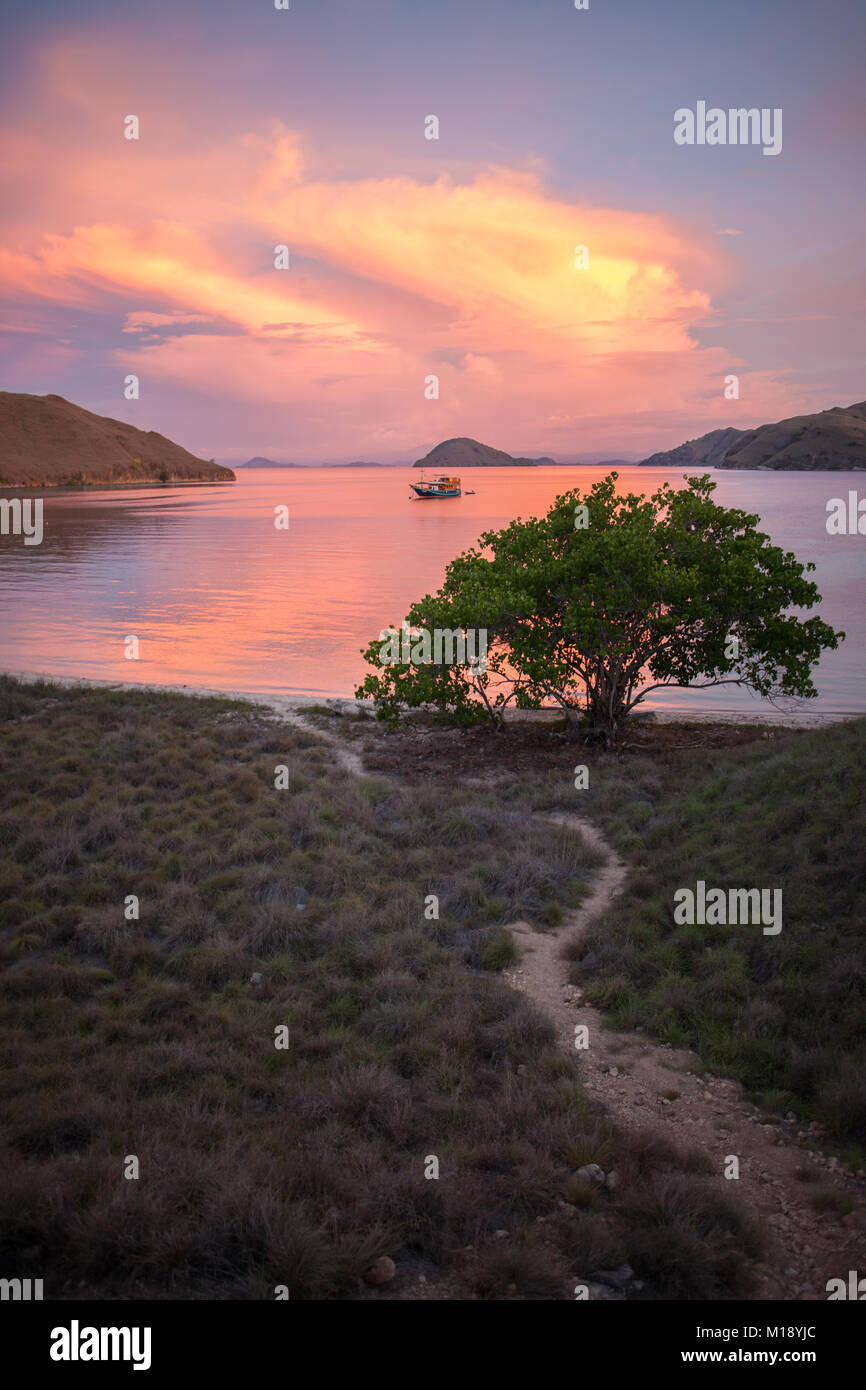 Beautiful pink and purple sky with clouds hi-res stock photography and ...