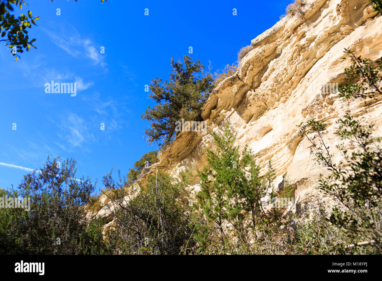 chalk cliffs in the Avagas gorge, Akamas peninsular, Paphos, Cyprus ...