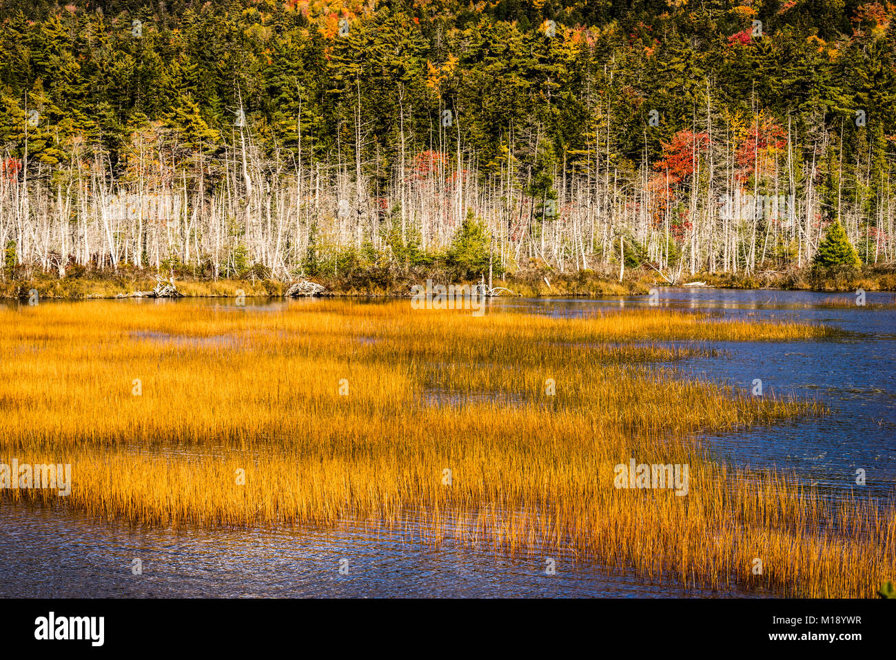 Upper Hadlock Pond Acadia National Park Mount Desert Island, Maine, USA ...