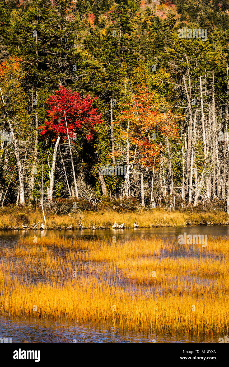 Upper Hadlock Pond Acadia National Park Mount Desert Island, Maine, USA ...