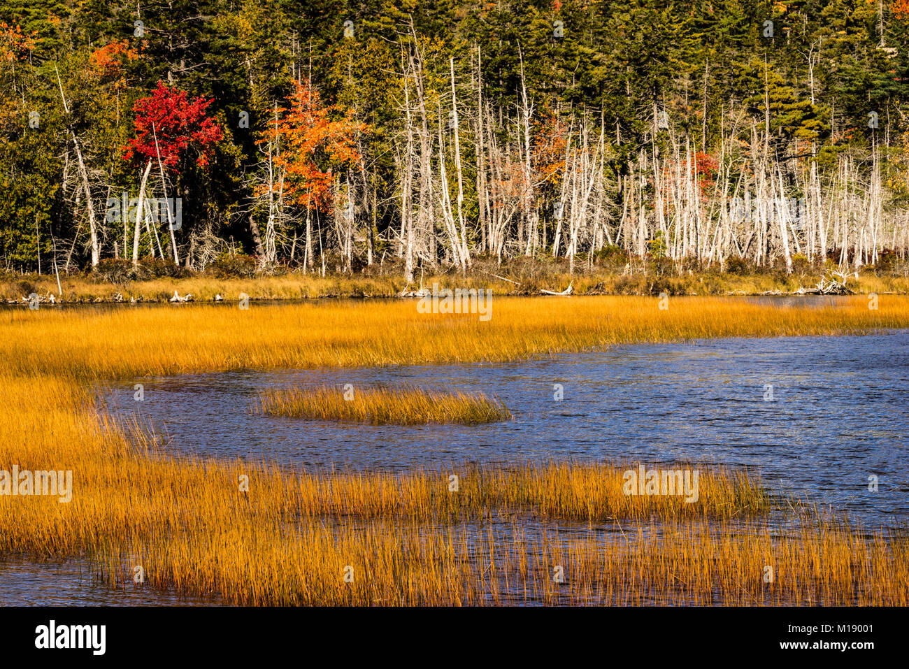 Upper Hadlock Pond Acadia National Park Mount Desert Island, Maine, USA ...