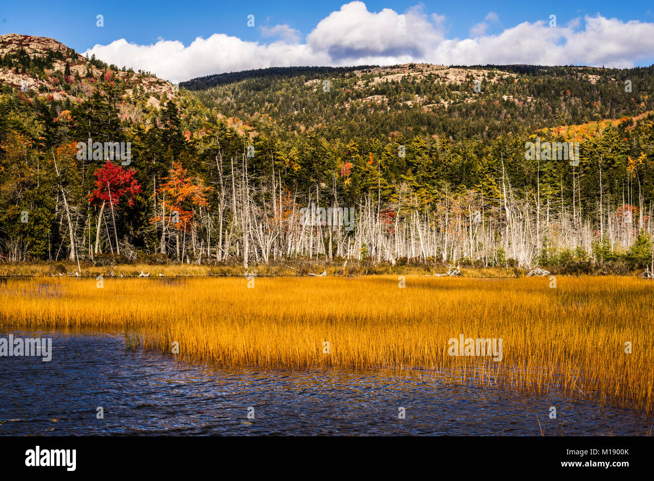Upper Hadlock Pond Acadia National Park Mount Desert Island, Maine, USA ...