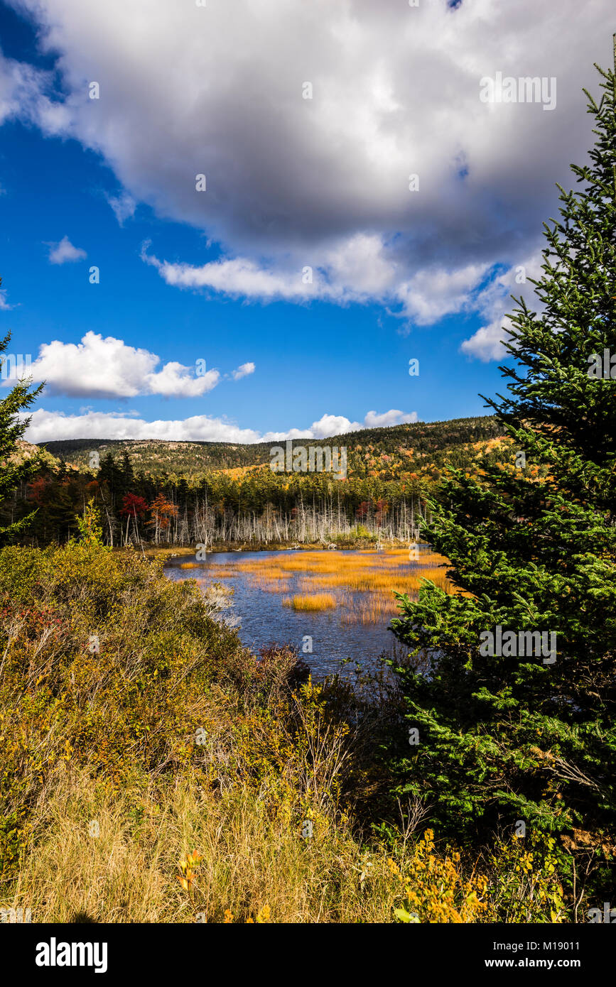 Upper Hadlock Pond Acadia National Park Mount Desert Island, Maine, USA ...