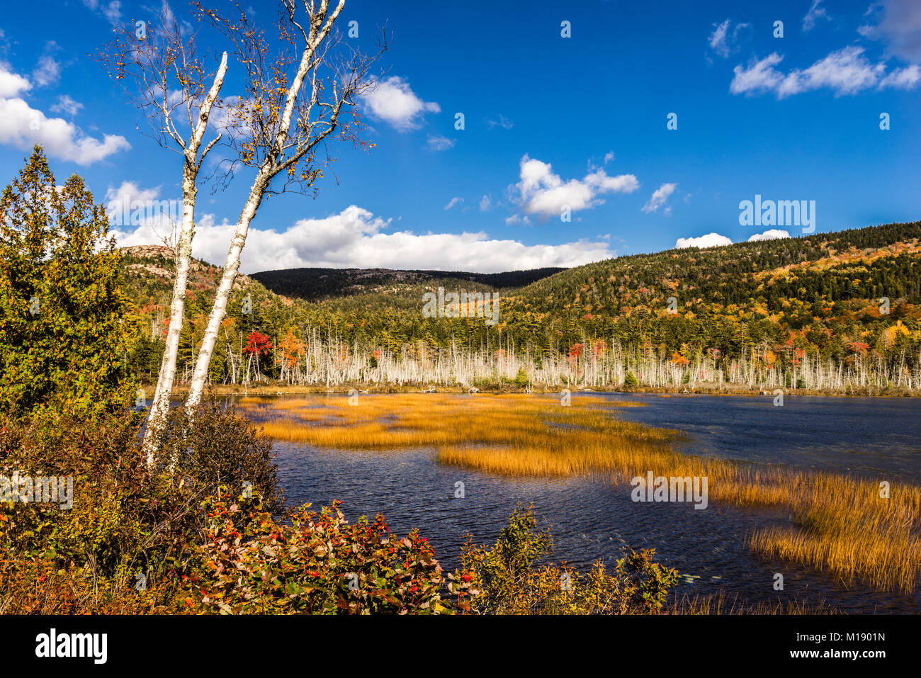 Upper hadlock hi-res stock photography and images - Alamy