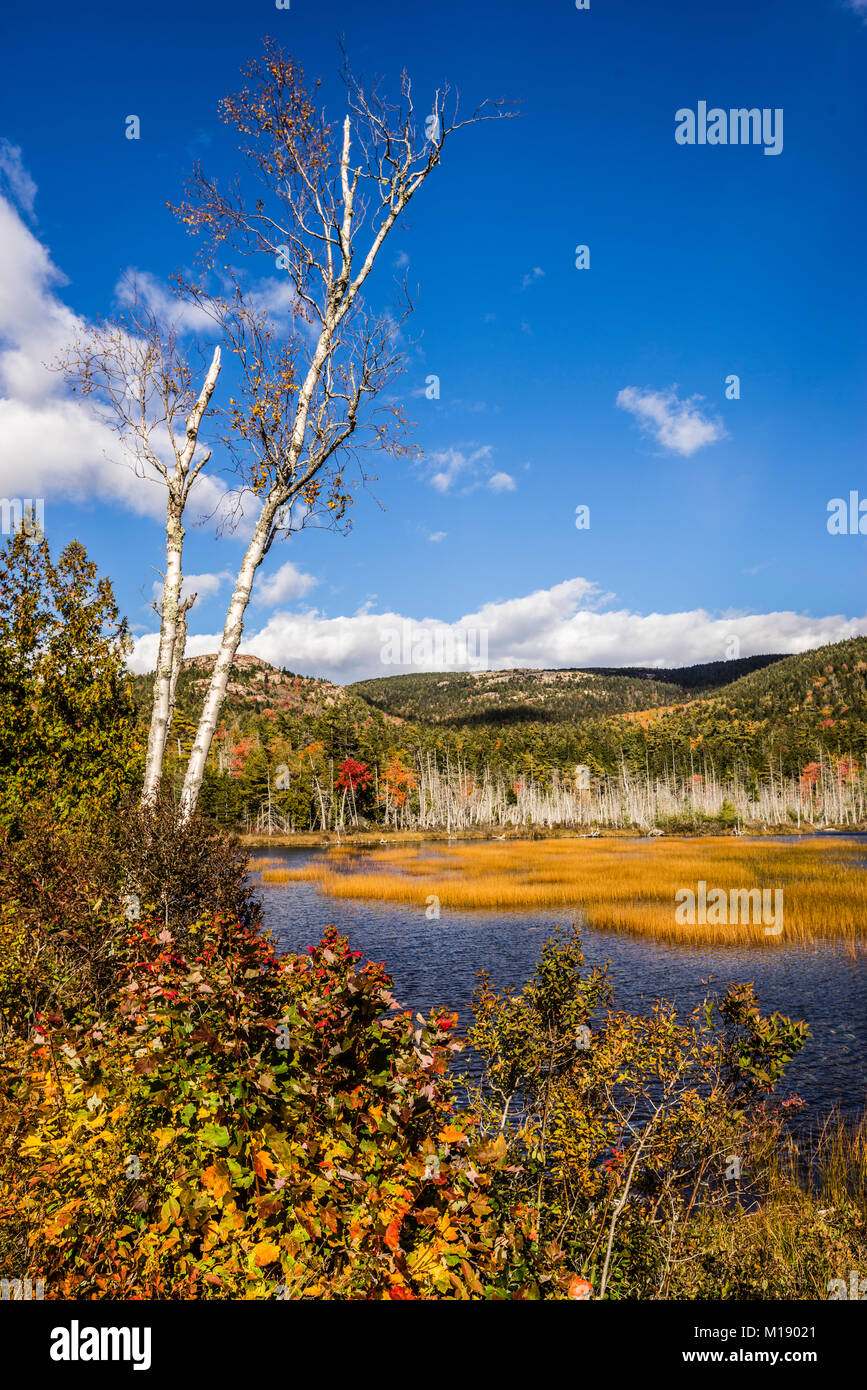Upper Hadlock Pond Acadia National Park Mount Desert Island, Maine, USA ...