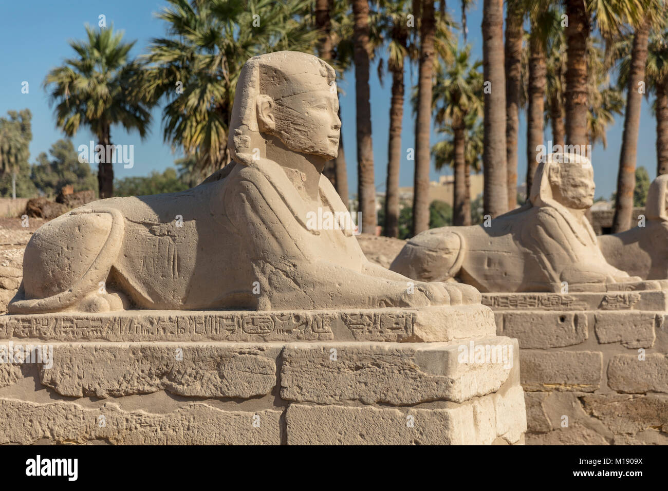 Luxor Temple, Luxor, Egypt Stock Photo - Alamy