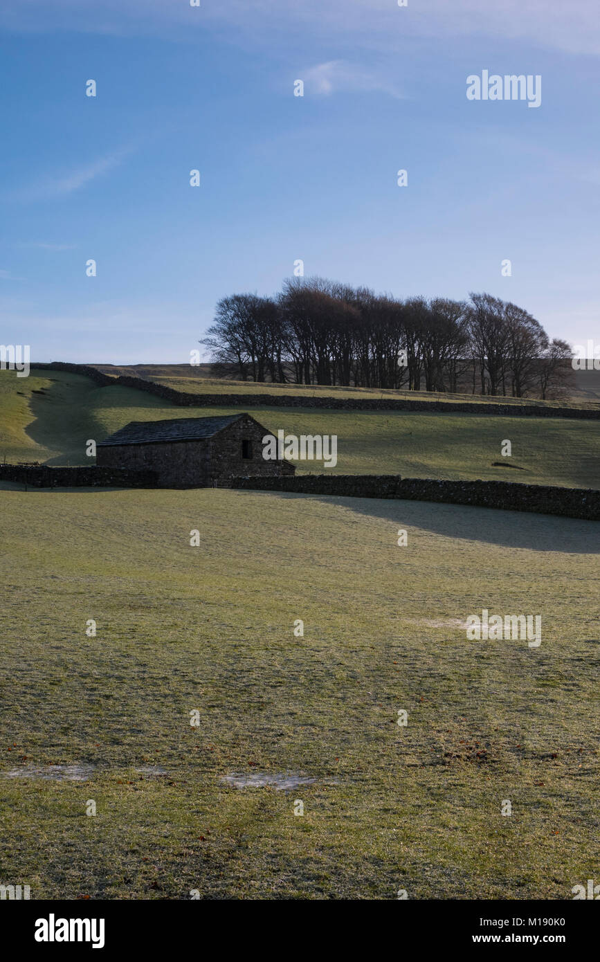 A barn in the fields near the Brackenbottom side of Pen-y-Ghent near ...