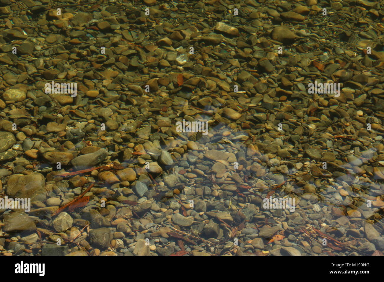 Stones at riverbed hi-res stock photography and images - Alamy