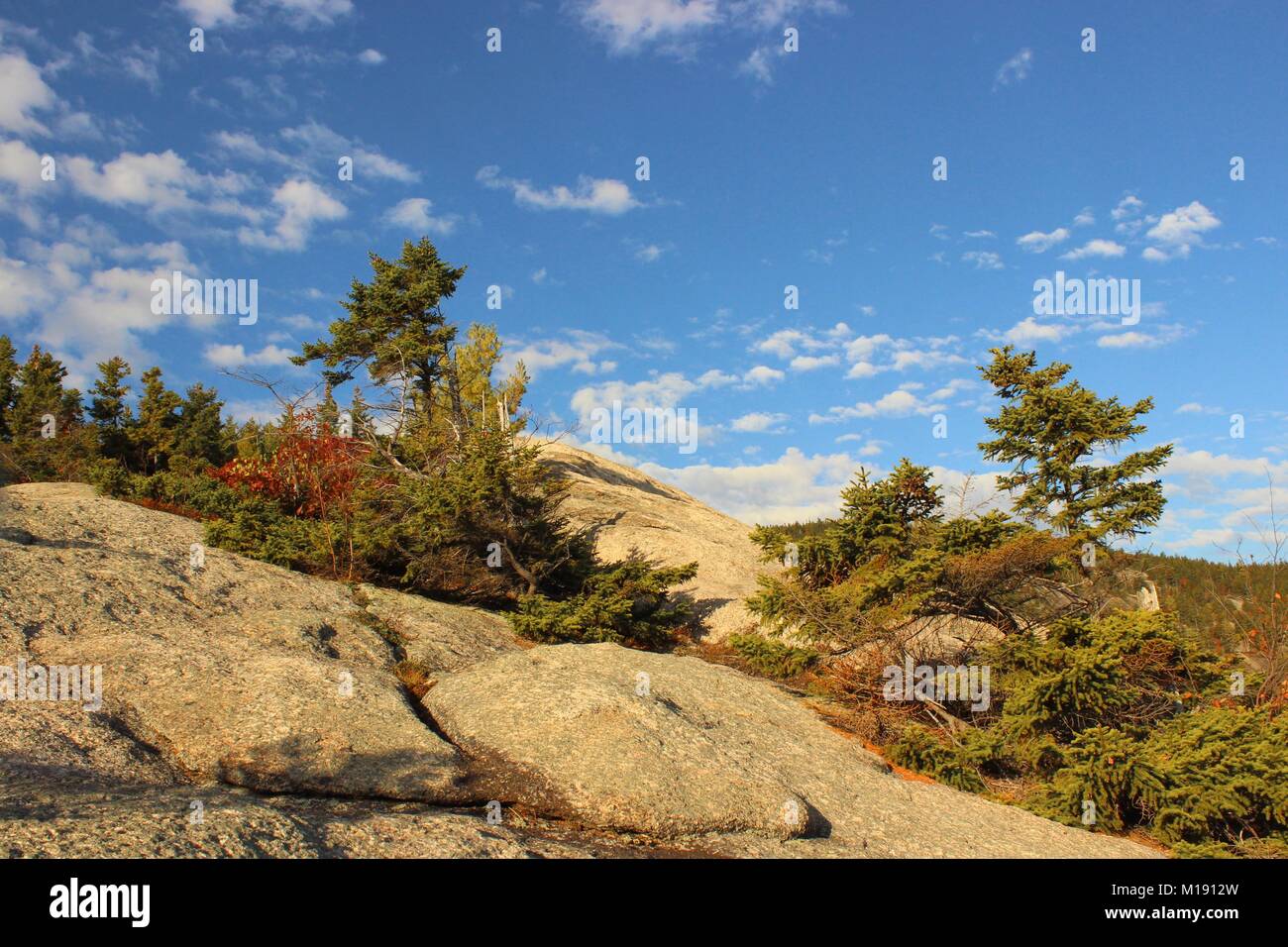 Welch dickey loop trail hi-res stock photography and images - Alamy