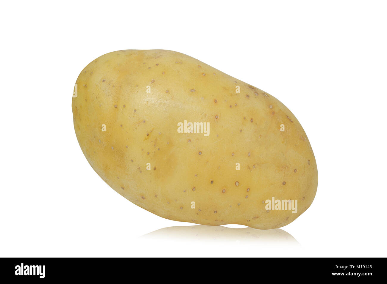 Single potato isolated on white background with clipping path Stock ...