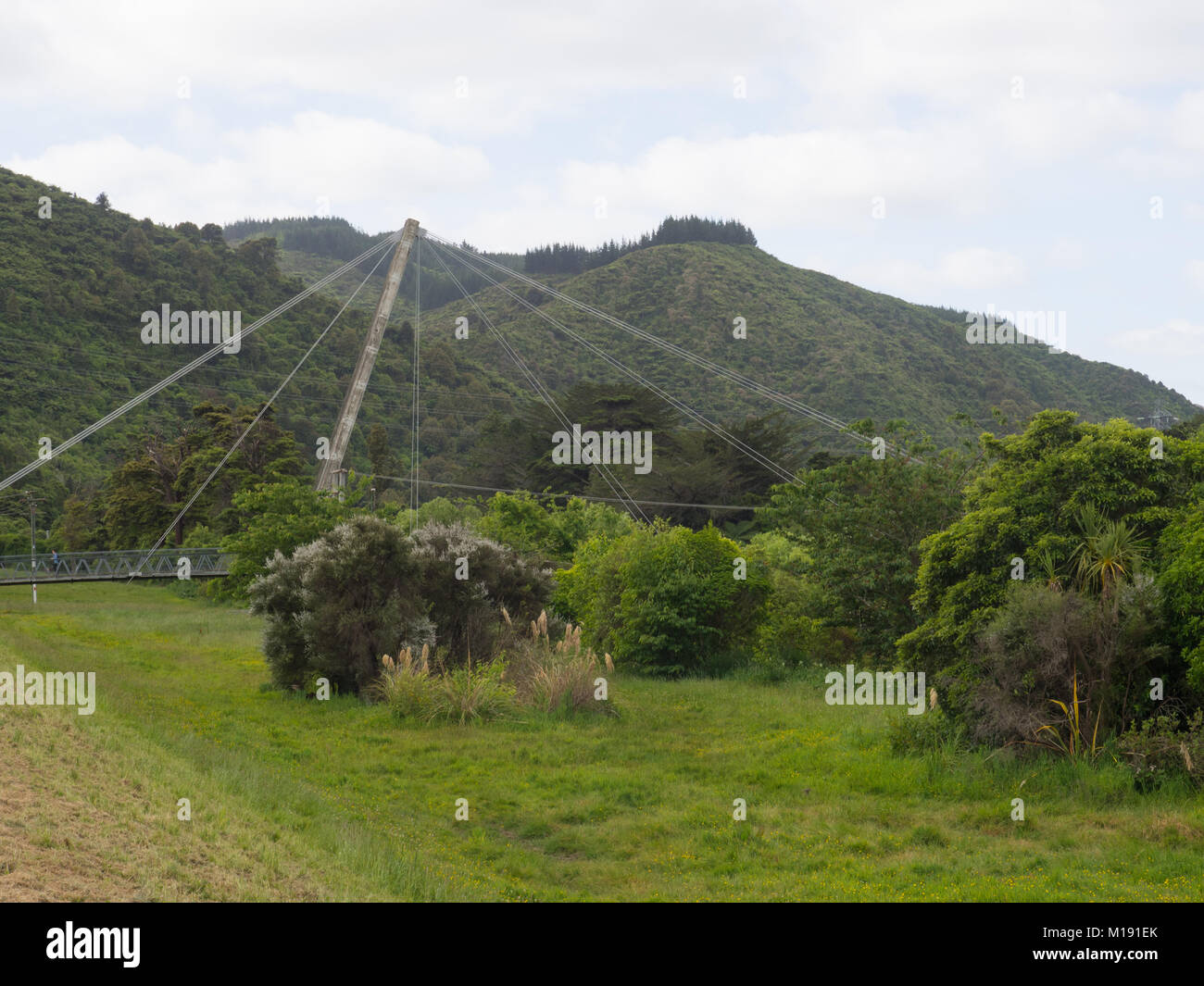 Totara Park Footbridge Stock Photo - Alamy