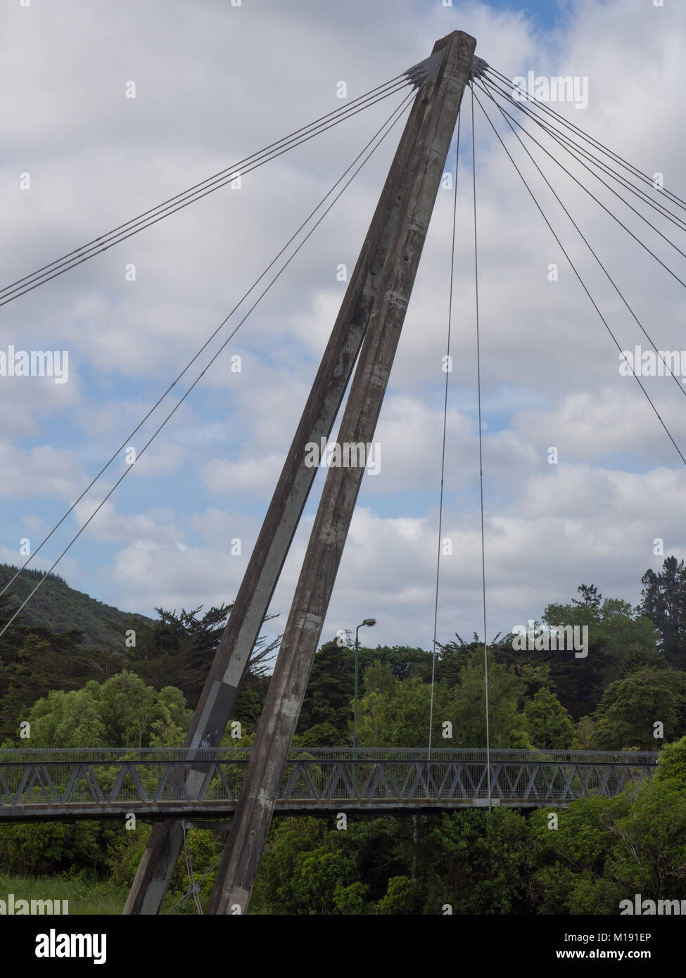 Totara Park Footbridge Stock Photo - Alamy