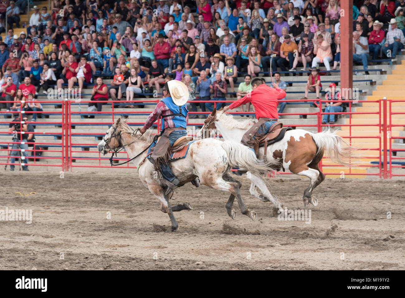 Neck ride hi-res stock photography and images - Alamy