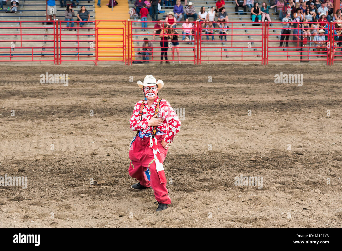 Rodeo clown hi-res stock photography and images - Alamy