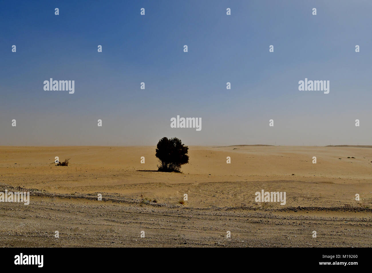 Desert scenery and landscape with desert sand and rocky formations ...