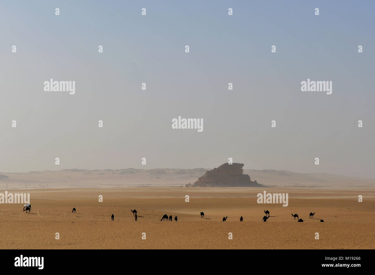 Desert scenery and landscape with desert sand and rocky formations ...
