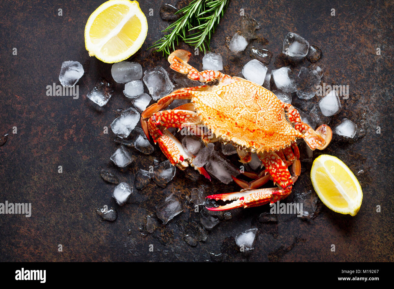 Cooked crab on a stone or slate background Stock Photo - Alamy