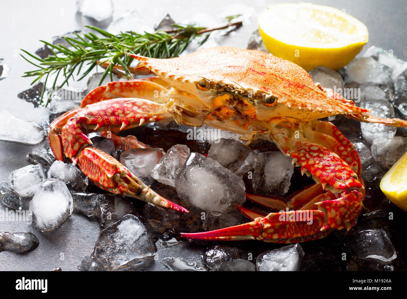 Cooked crab on a stone or slate background Stock Photo - Alamy