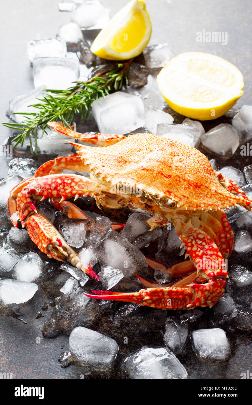 Cooked crab on a stone or slate background Stock Photo - Alamy