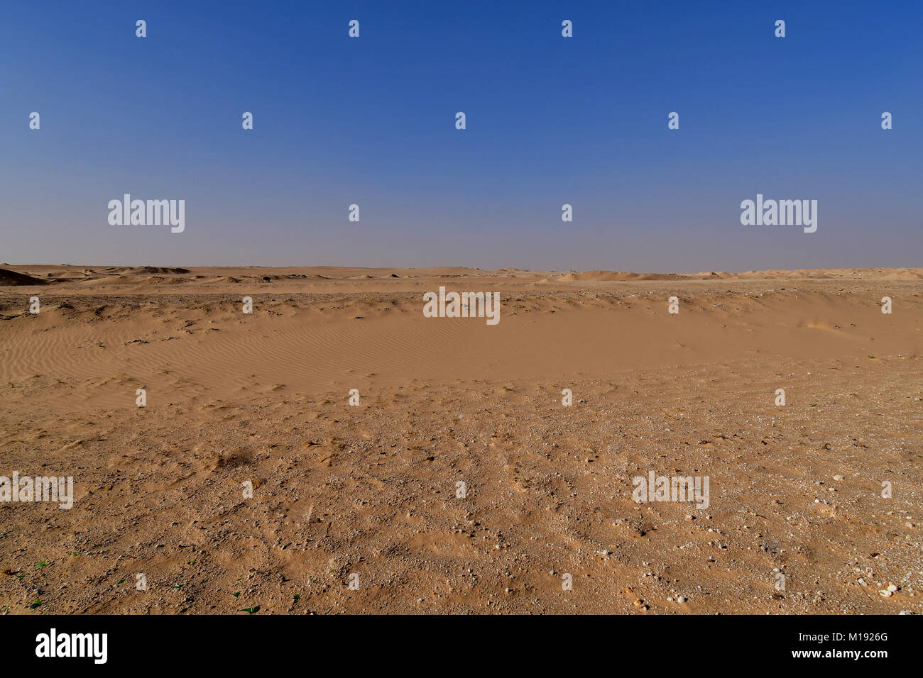 Desert scenery and landscape with desert sand and rocky formations ...
