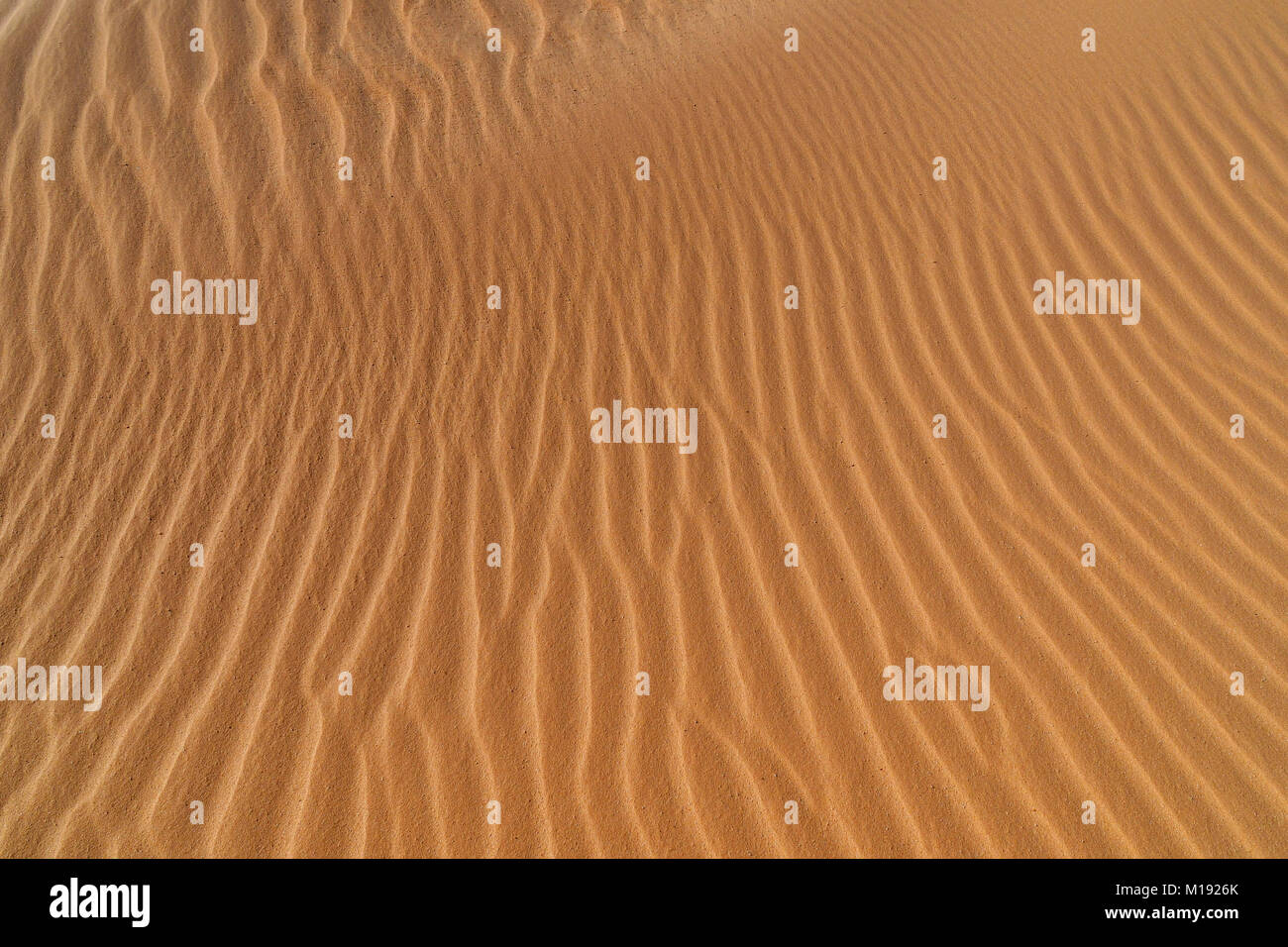 Desert scenery and landscape with desert sand and rocky formations ...