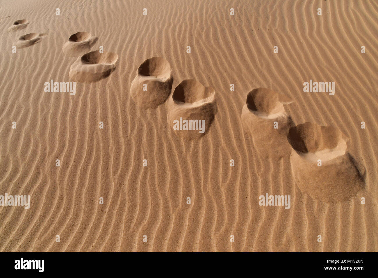 Desert scenery and landscape with desert sand and rocky formations ...
