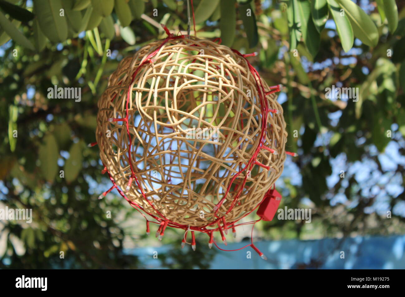 Lantern tree hi-res stock photography and images - Alamy