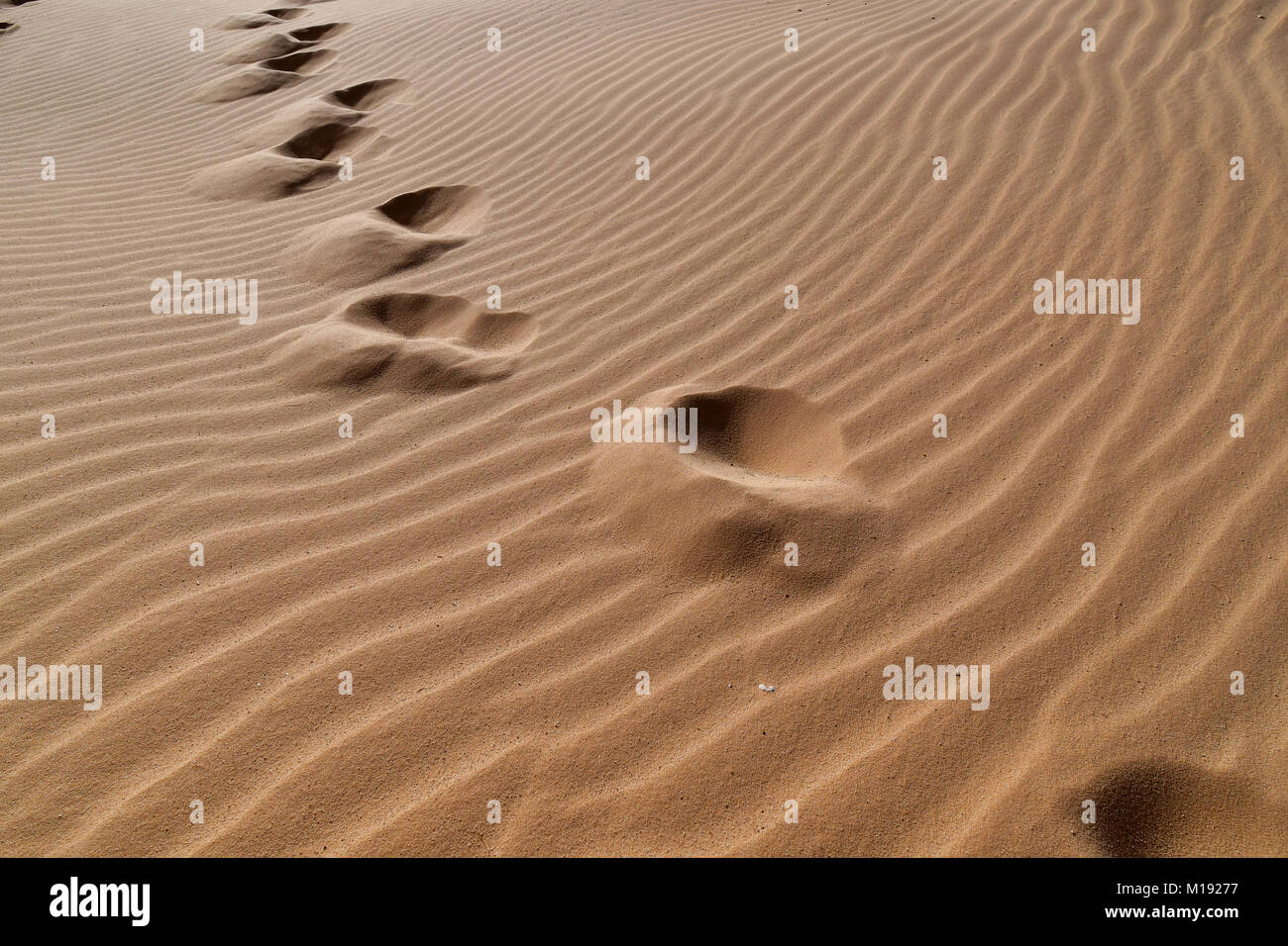 Desert scenery and landscape with desert sand and rocky formations ...