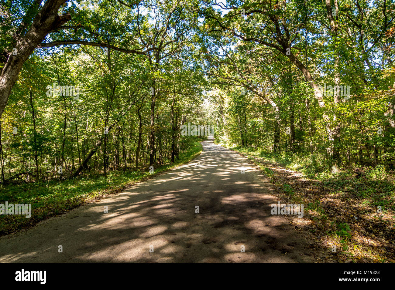 Photographed through various parks and forests in Iowa and Wisconsin in ...
