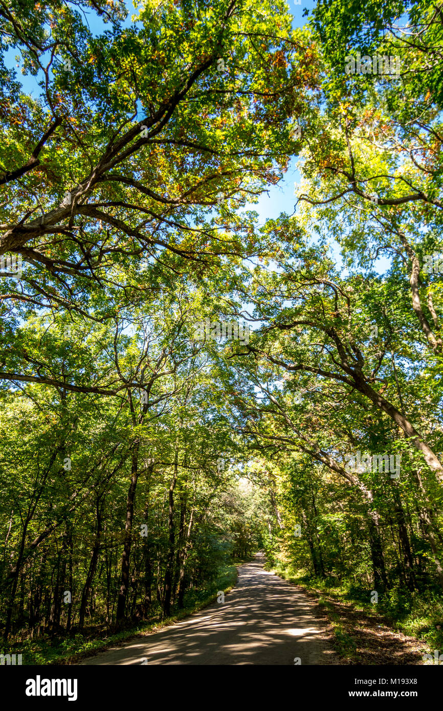 Photographed through various parks and forests in Iowa and Wisconsin in ...