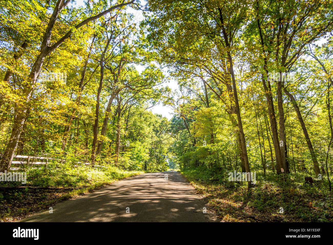 Photographed through various parks and forests in Iowa and Wisconsin in ...