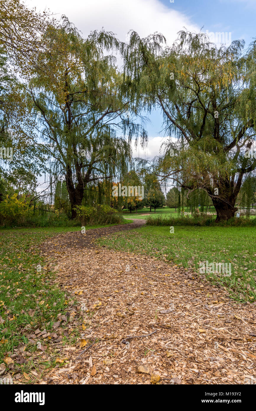 Waterloo walk hi-res stock photography and images - Alamy