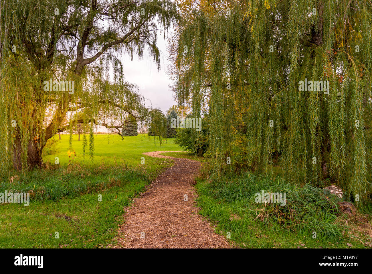 Waterloo nature hi-res stock photography and images - Alamy
