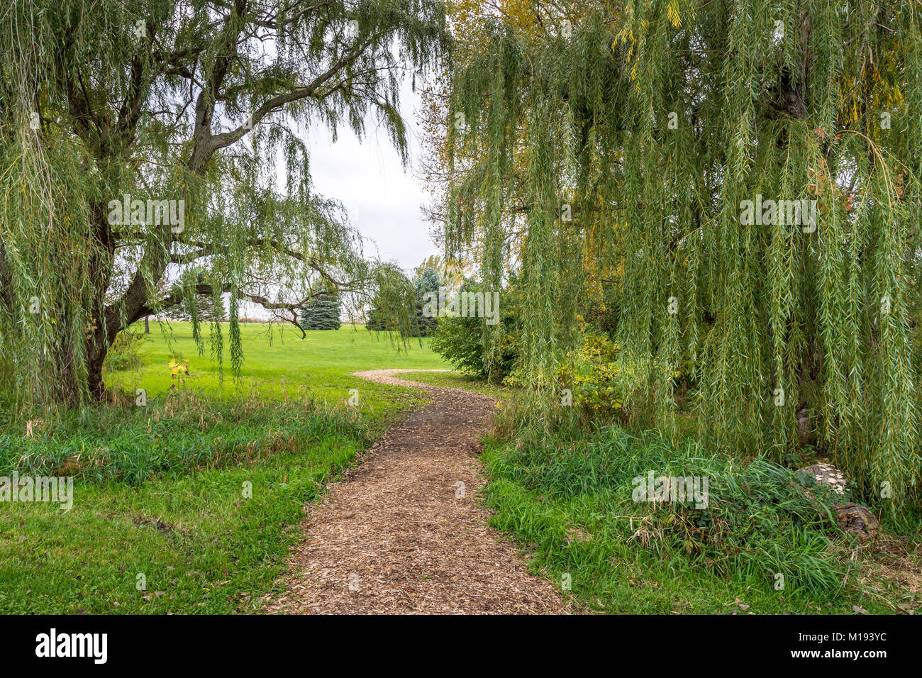 Waterloo avenue hi-res stock photography and images - Alamy