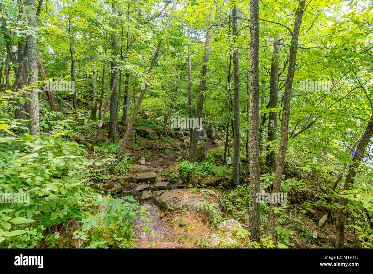 Photographed through various parks and forests in Iowa and Wisconsin in ...