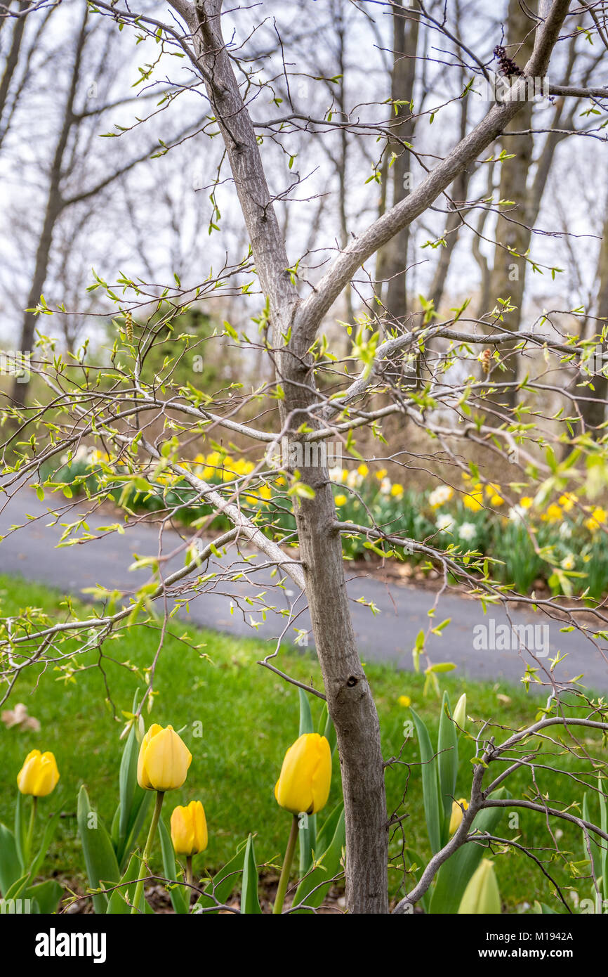 Botanical Garden in Green Bay, Wisconsin Stock Photo - Alamy